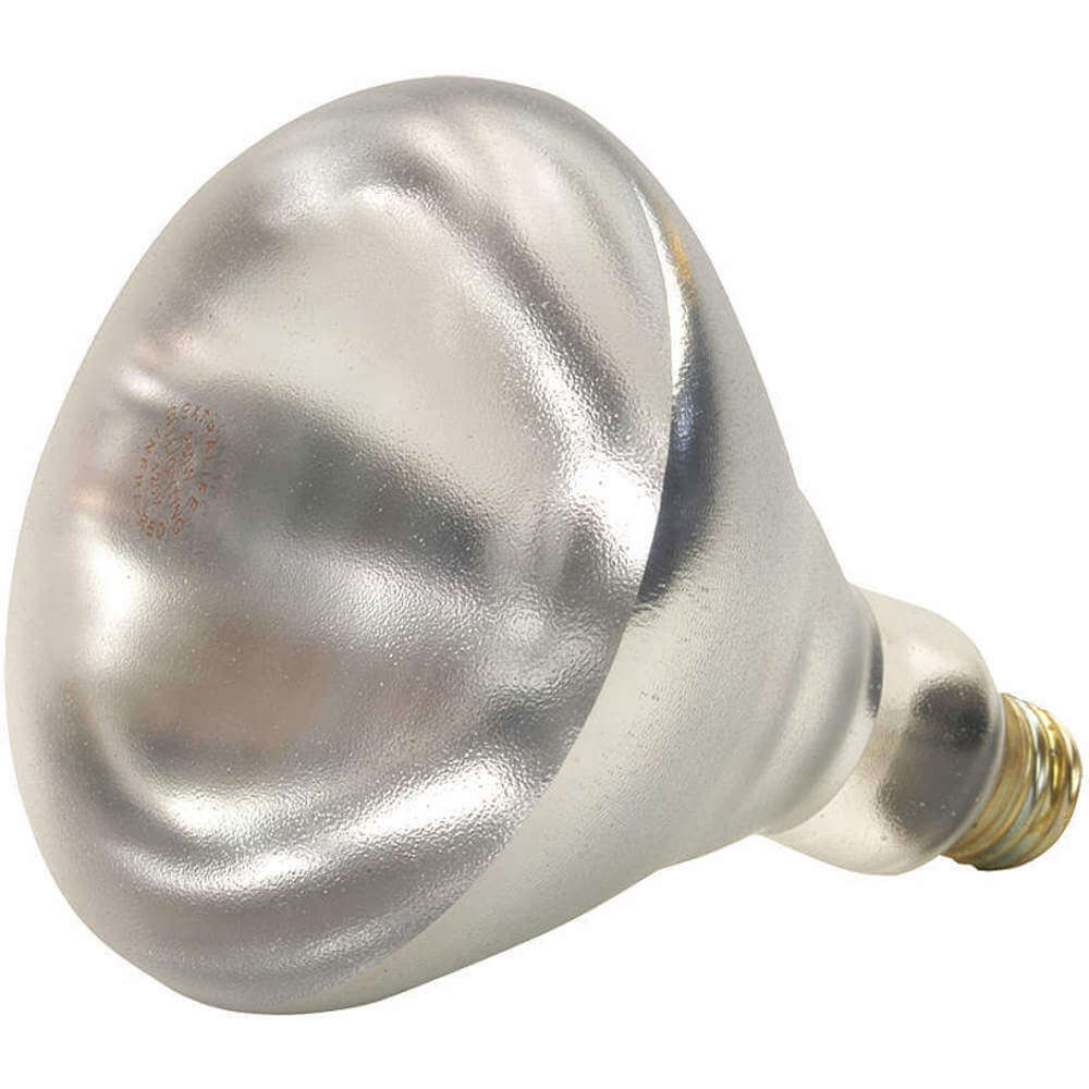 Shat-r-shield 250BR40/1 | 11D011 | Incandescent Floodlight R40 250w